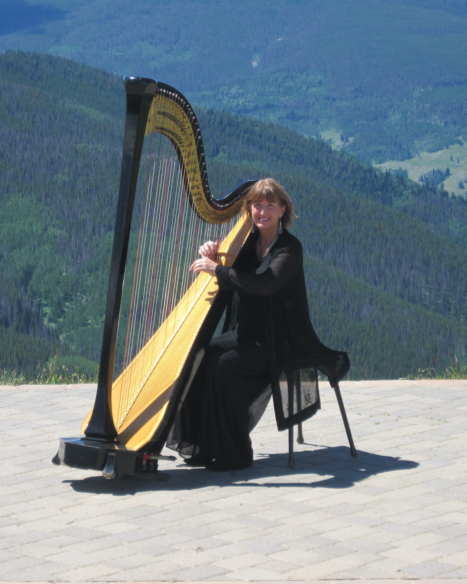 Harp Wedding Music for Denver & Colorado - Sacred Space